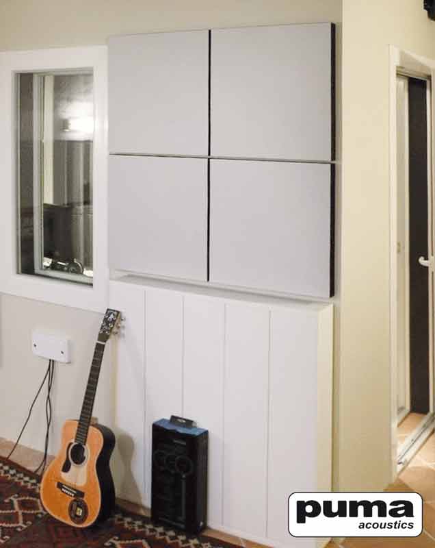 Realizzazione di due spazi insonorizzati per Max Pezzali - Puma Acoustics