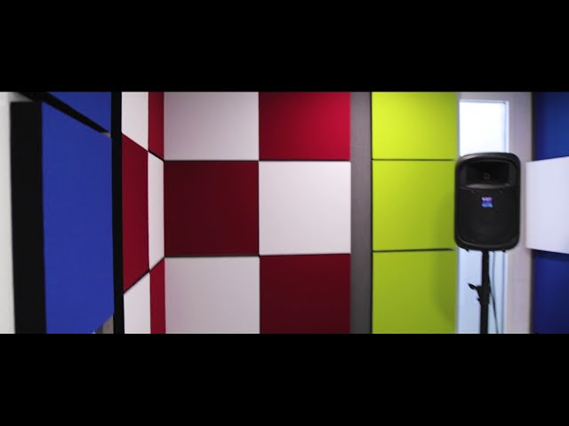 Eagle Pro - Puma Acoustics